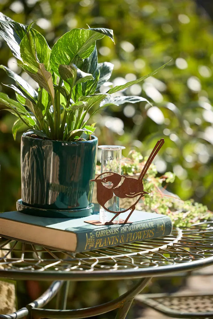 RUSTY STANDING WREN RAIN GAUGE – Forum4 Collections