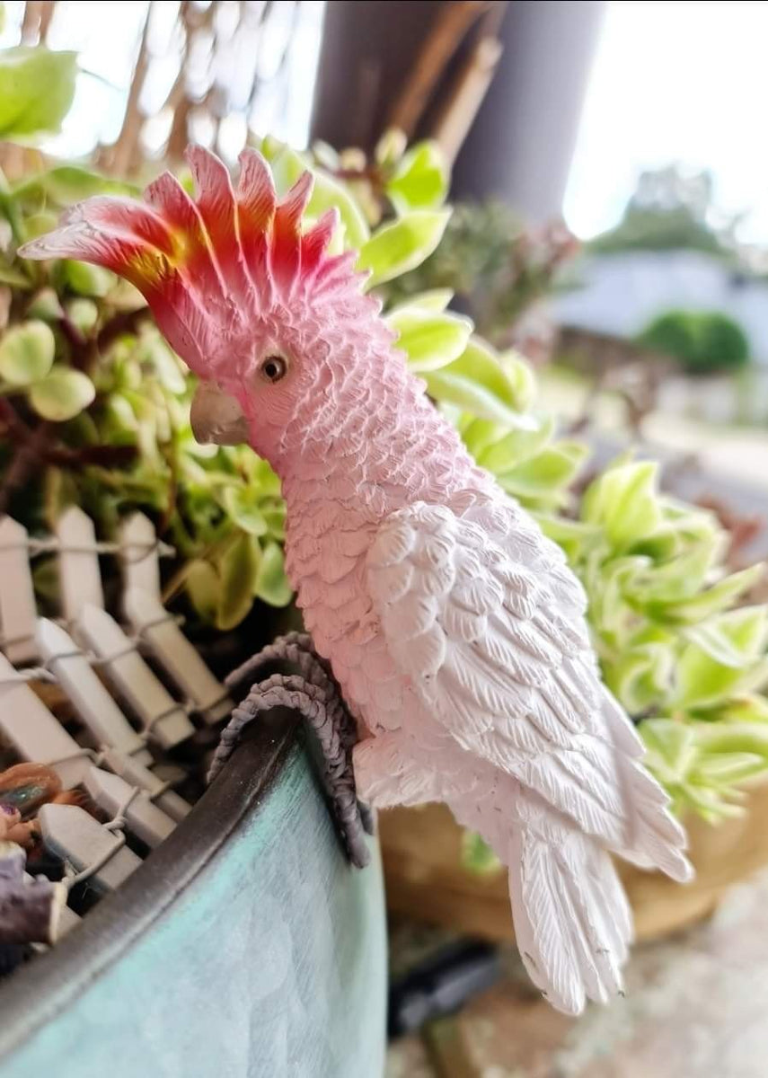 AUSSIE BIRD POT SITTER - MAJOR MITCHELL – Forum4 Collections