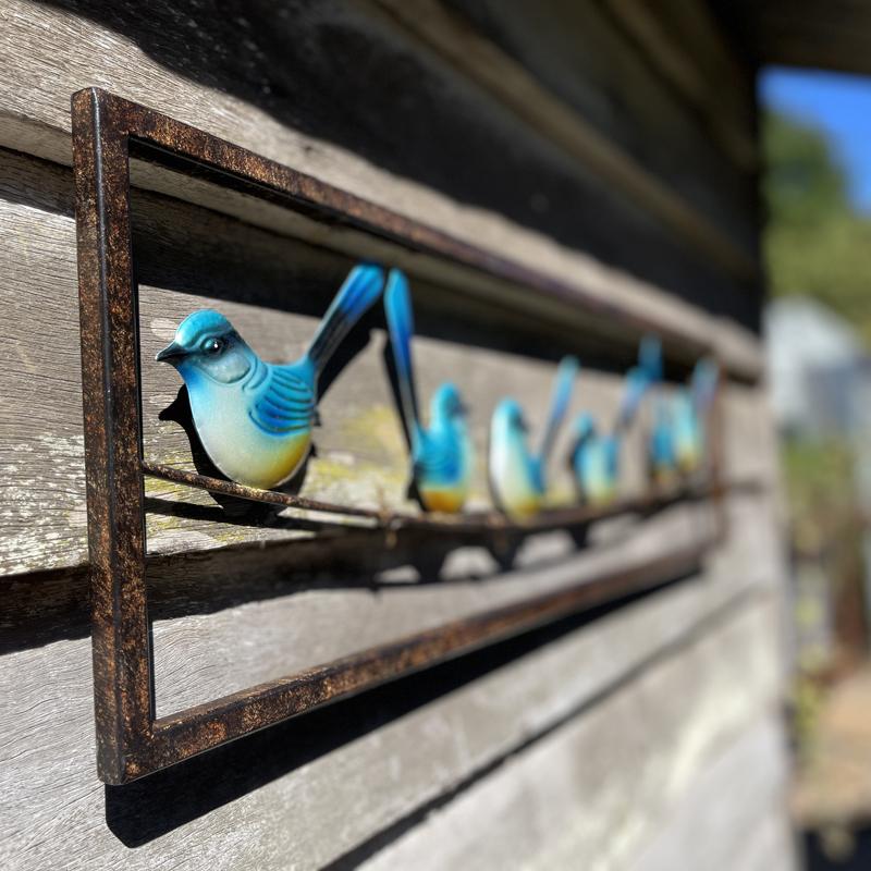 FRAMED BLUE WRENS ON BARBED WIRE – Forum4 Collections