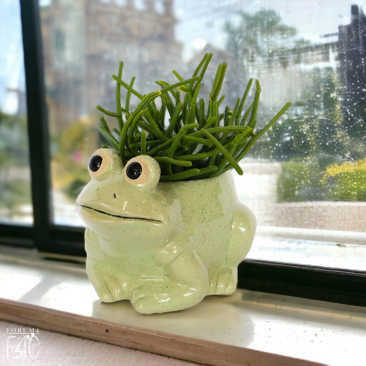 FRIBBIT THE SMALL LIGHT GREEN FROG PLANTER – Forum4 Collections