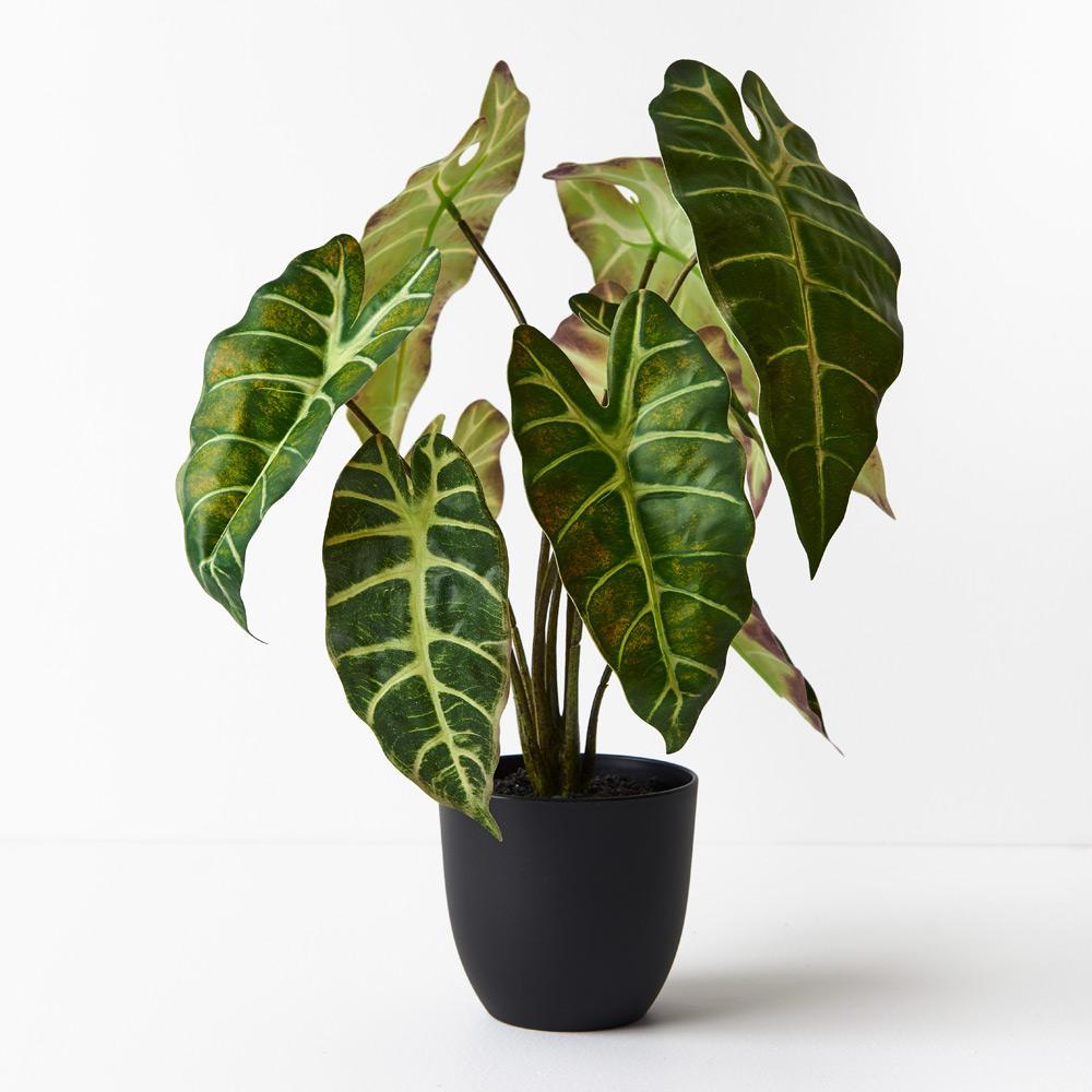 REAL TOUCH - ALOCASIA ARTIFICIAL PLANT IN POT - DARK GREEN – Forum4 ...