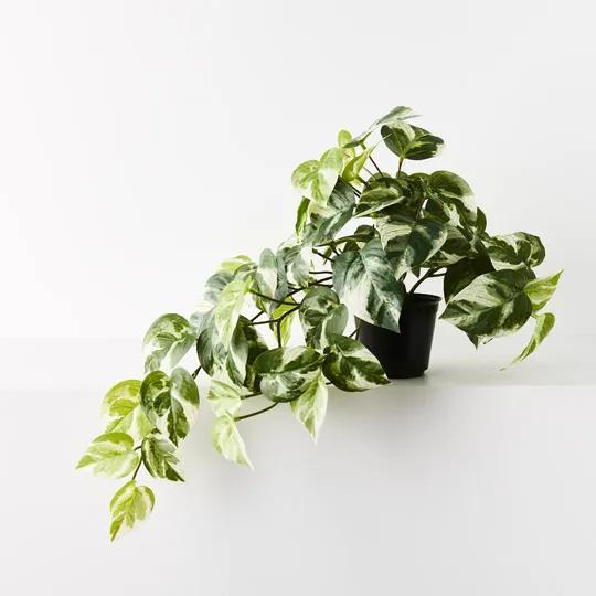REAL TOUCH - ARTIFICIAL POTHOS HANGING BUSH PLANT IN POT - VARIGATED ...