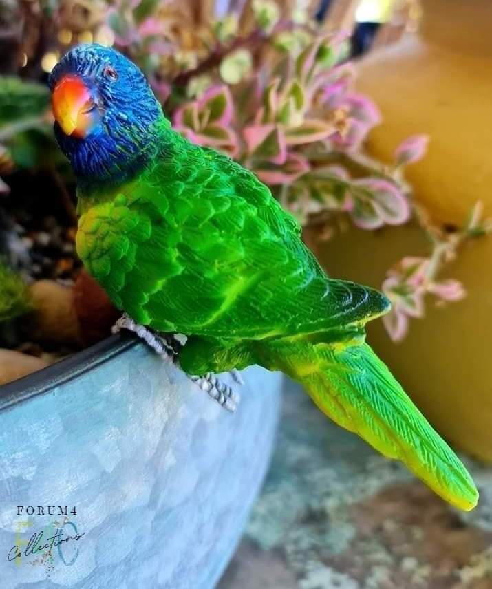 AUSSIE BIRD POT SITTER - LORIKEET – Forum4 Collections
