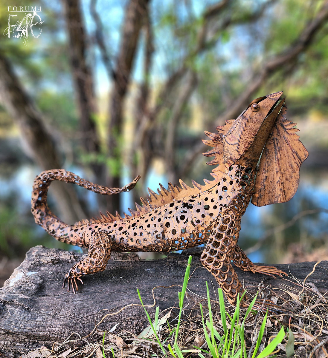 XL RUSTY LIZARD – Forum4 Collections