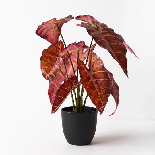 REAL TOUCH - ARTIFICIAL ALOCASIA PLANT IN POT 43CM - BURGUNDY – Forum4 ...