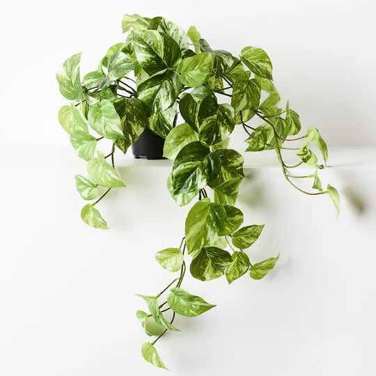 REAL TOUCH - ARTIFICIAL POTHOS HANGING BUSH PLANT IN POT - VARIGATED 6 ...