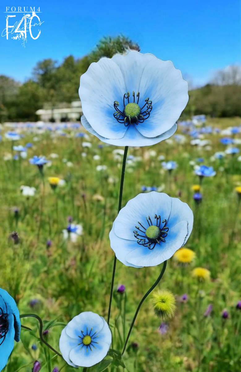 3PC SET METAL GARDEN POPPIES - POWDER BLUE – Forum4 Collections