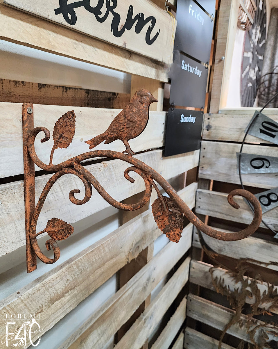 RUSTY ORNATE BIRD WALL BRACKET HOOK – Forum4 Collections